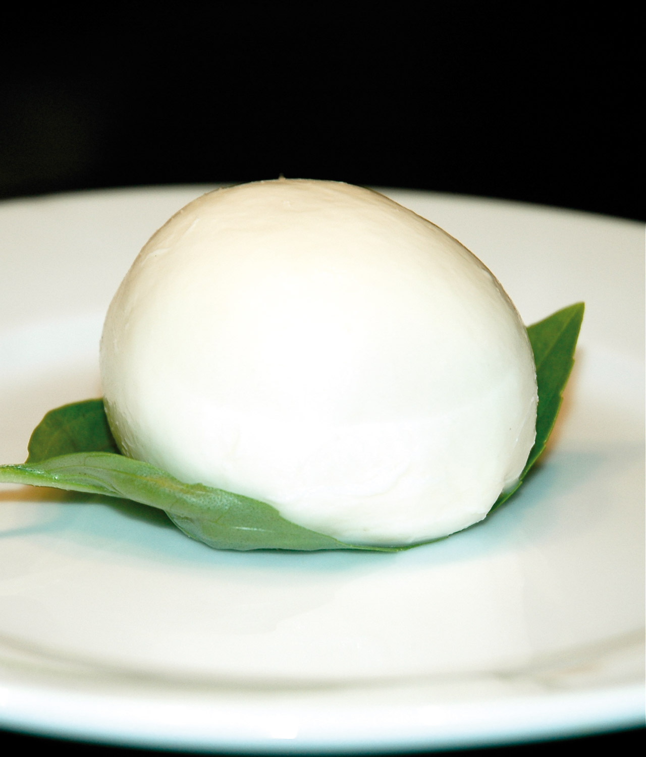 Mozzarella STG :: Qualigeo