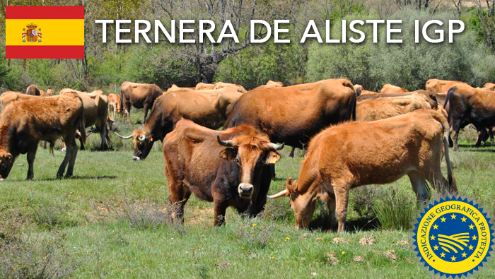 Ternera de Aliste IGP :: Qualigeo